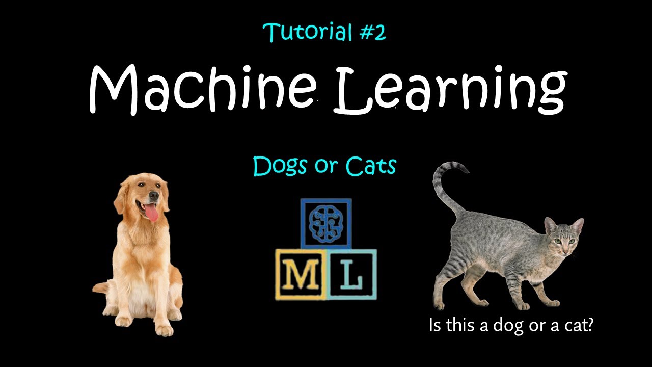 Machine Learning - Episode 2: Dogs or Cats