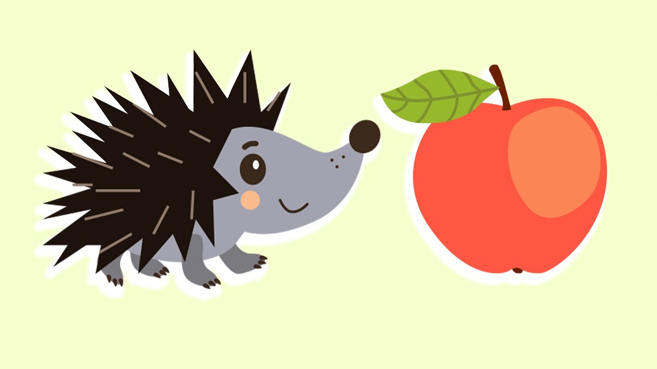 El erizo | El Gatito Koté | Canciones infantiles | Dibujos animados