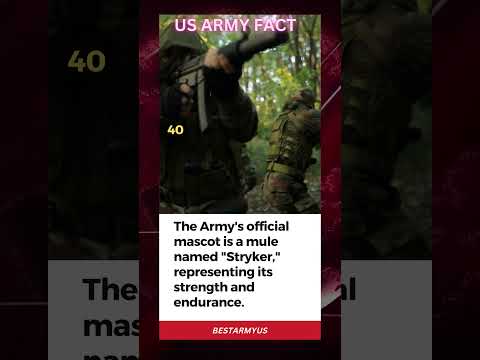 US ARMY MASCOT MULE π«π«π«