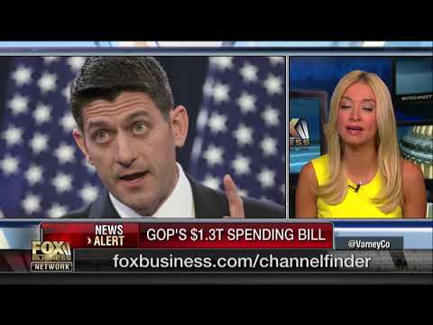 Spending bill was a matter of national security: Kayleigh McEnany