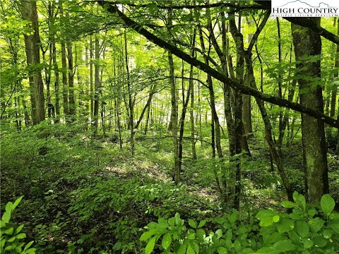 Lots And Land for sale - 3455 W Mill Creek Road, Warrensville, NC 28693