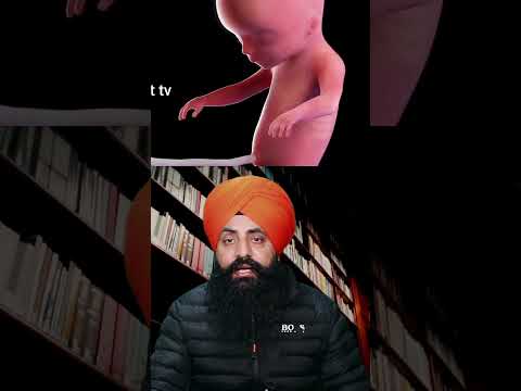 "Decoding the SRY Gene: The Key to Understanding Male Development ๐งฌ๐"