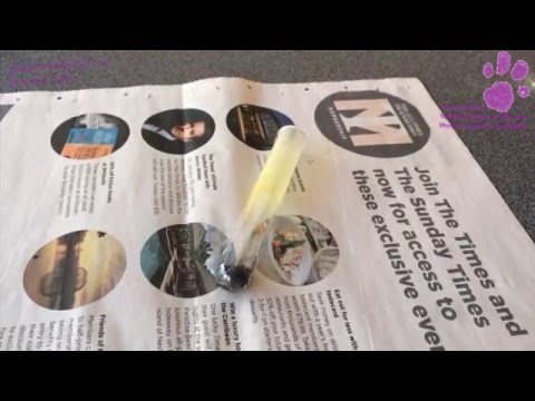 Reacting iron and sulfur to make iron sulfide.