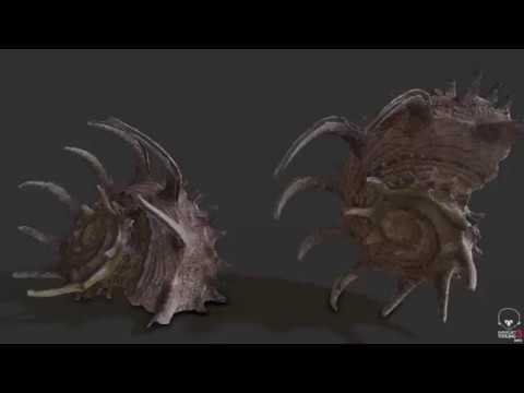 Steam Community :: Video :: Crown Shells Color