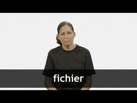 English Translation of “FICHIER” | Collins French-English Dictionary