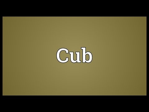 Cub Meaning
