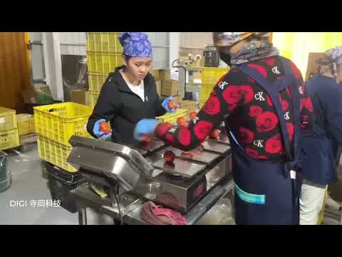 TCS-205 快速組合秤應用影片