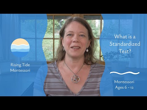 What is a Standardized Test?