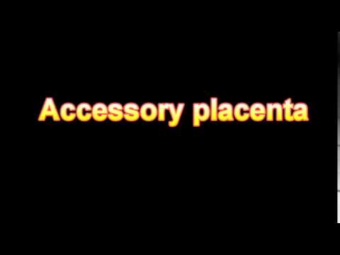 what is the definition of Accessory placenta (Medical Dictionary Online)