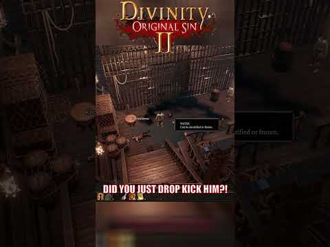 Are you using that? | Divinity: Original Sin 2