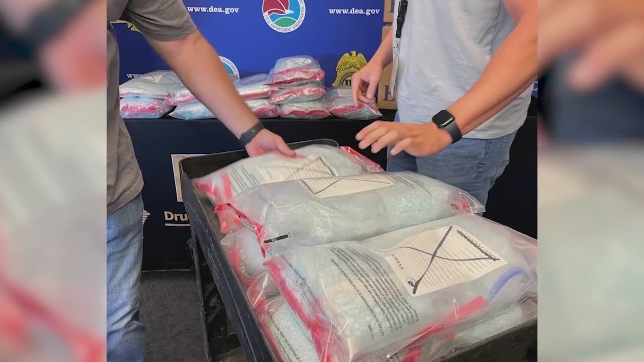 FACT CHECK: Conservative Think Tank Falsely Claimed DEA Seized Enough ...