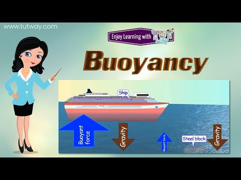 Buoyancy | What is Buoyancy? | Buoyancy Concept | Buoyant Force | Float or Sink | Physics | Science