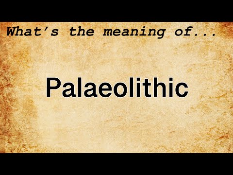 Palaeolithic Meaning : Definition of Palaeolithic