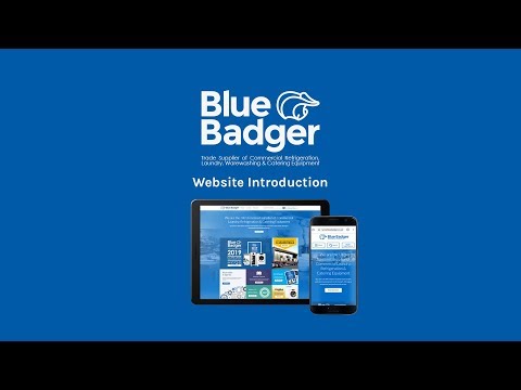 Blue Badger Wholesale: Website Introduction