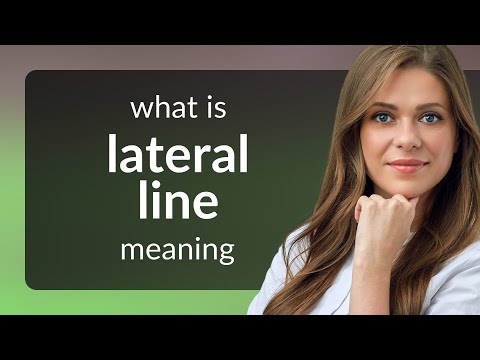 Lateral line — definition of LATERAL LINE