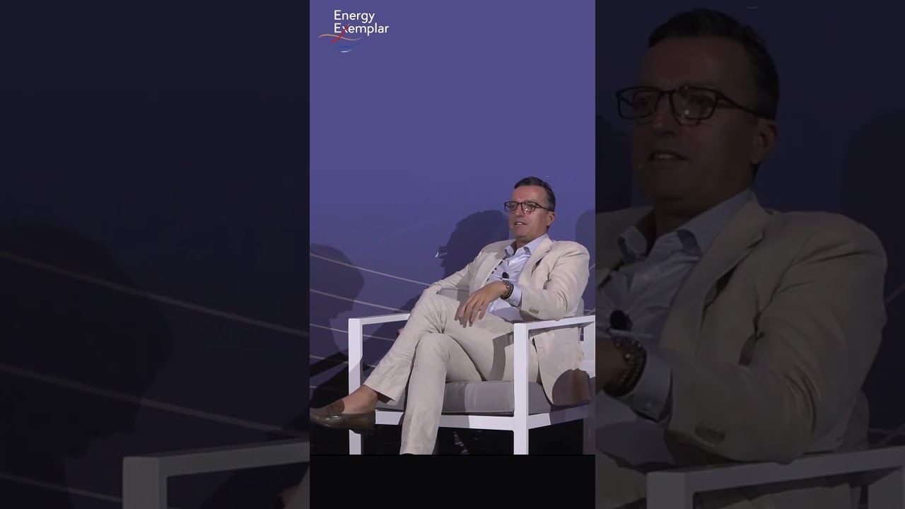 Where did the name #PLEXOS come from? 🤔 An interview with Energy Exemplar's Dr Glenn Drayton