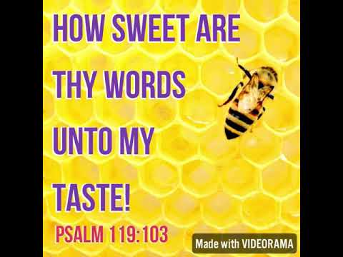 KJV Bible Songs: Sweeter than honey (Psalm 119:103-104)