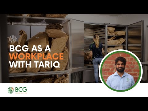 BCG as a Workplace- Explore the Opportunity