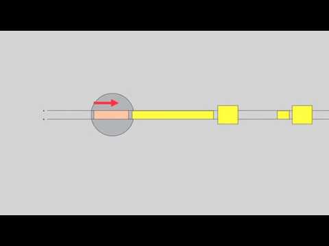 10 02 Isotype Switching