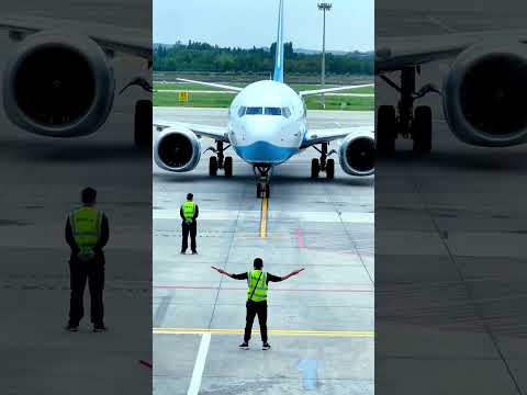 Commanded a Boeing 737MAX8 to stop and shut down the engine to reach its destination safely.