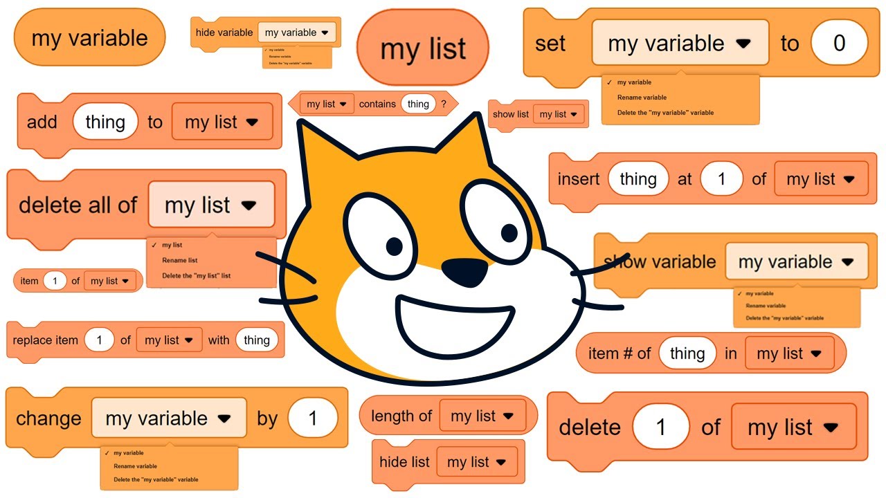 How to use every Variables block in Scratch