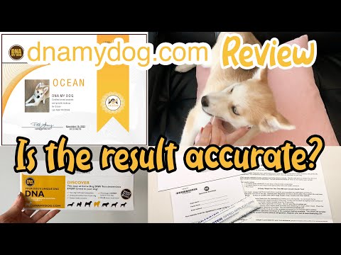 dnamydog.com Review and Unexpected Result! DNA My Dog Breed Identification Test