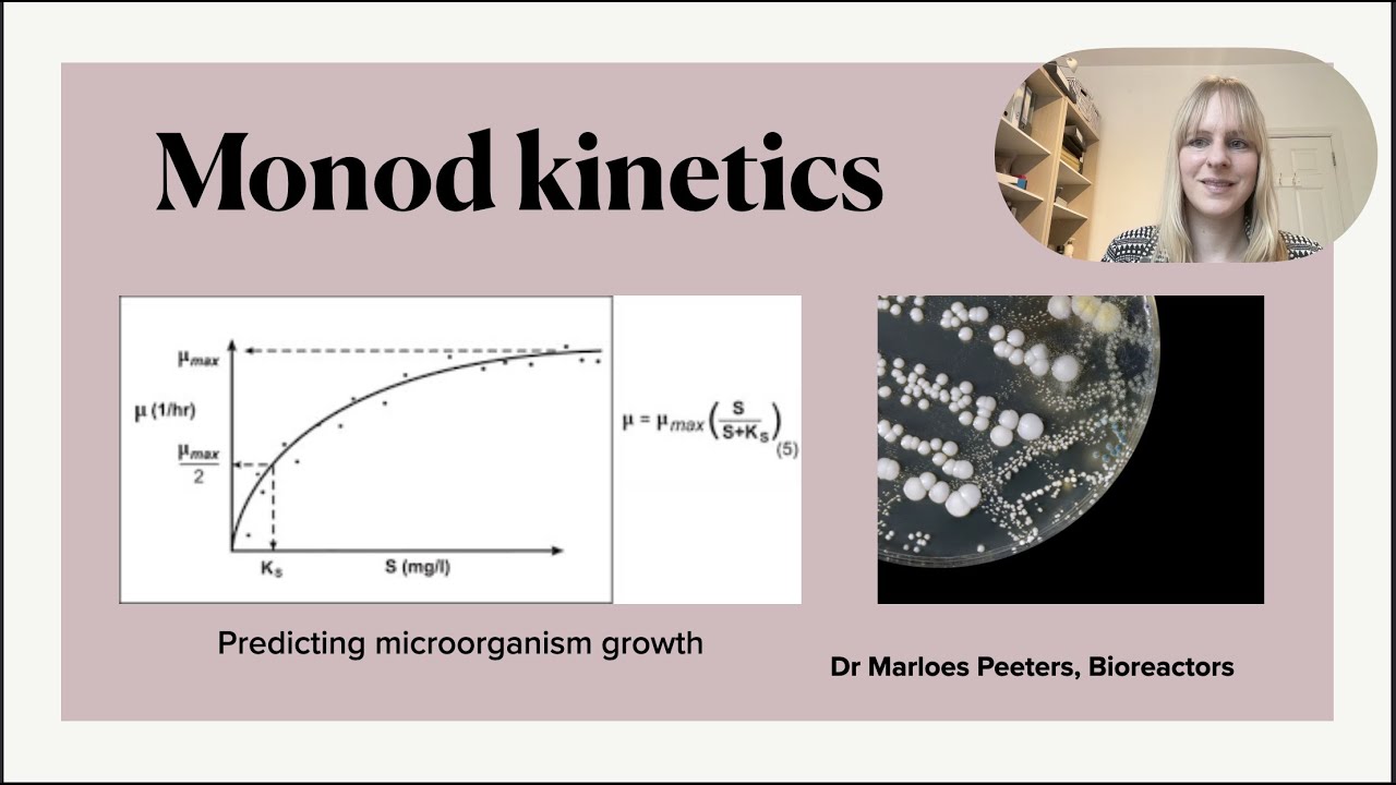Understanding Monod Kinetics for Microorganism Growth in Bioreactors ...