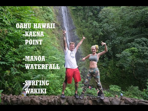 ENDANGERED HAWAIIAN MONK SEALS SIGHTING! Budget-Friendly CAMPING HAWAII! Manoa Waterfall PROPOSAL!
