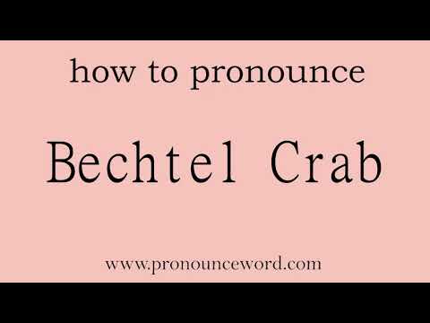 Bechtel Crab: How to pronounce Bechtel Crab in english (correct!).Start with B. Learn from me.