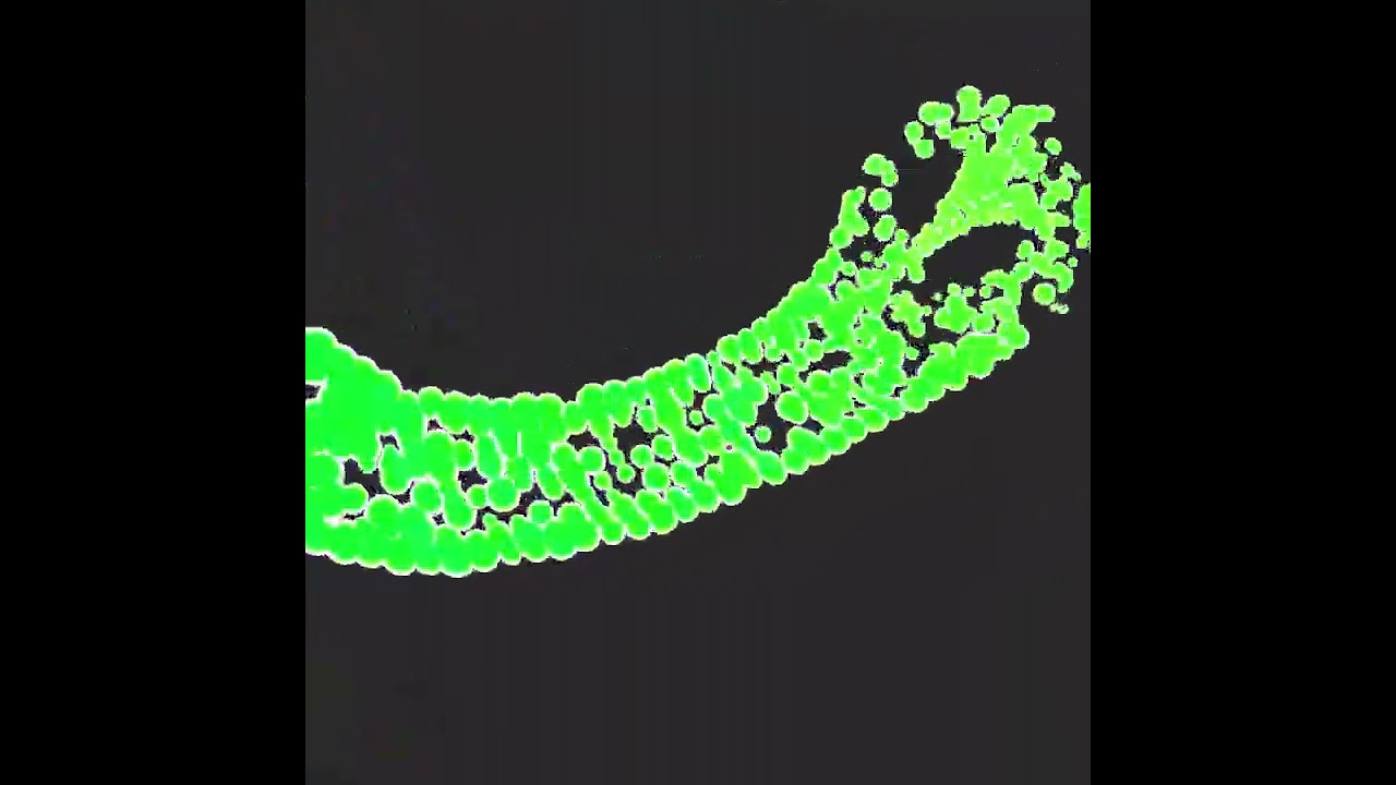 Changing color. #プログラミング #creativecoding  #openframeworks