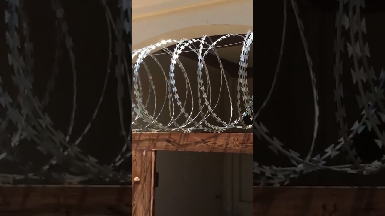 How to install security razor wire on Boundry #razorwire #fence #viral #barbedwire #shorts #trending