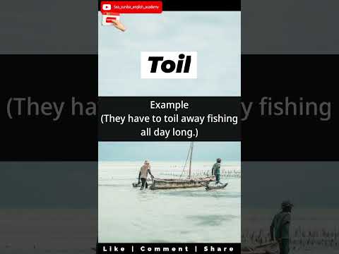 Toil | Daily English Word #shorts #youtubeshorts