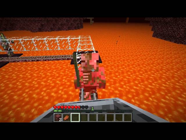 Two-way Nether Rollercoaster Ride Minecraft Map