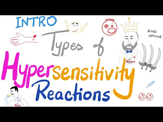 Understanding Hypersensitivity Reactions: A Comprehensive Guide | Galaxy