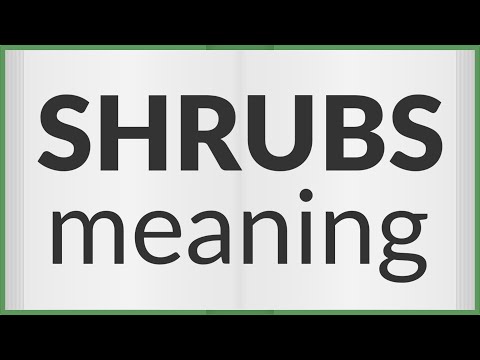 Shrubs | meaning of Shrubs