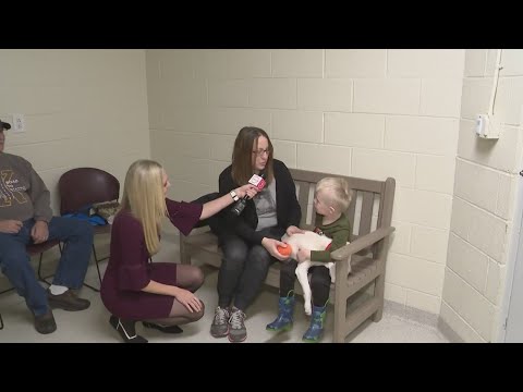 Rescue Village in Geauga County receives $20,000 Embrace Pet Insurance grant covering adoption fees
