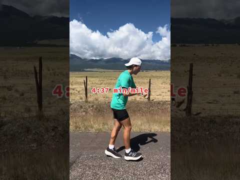 World record marathon pace