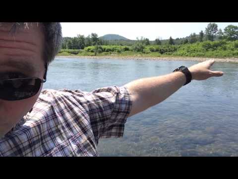 Bedload of a Stream