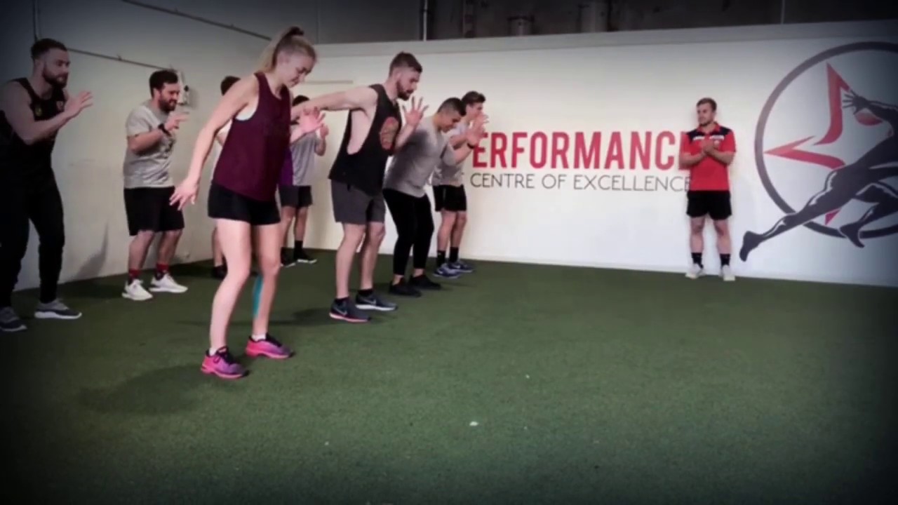 Ace Performance - Sports Performance Training