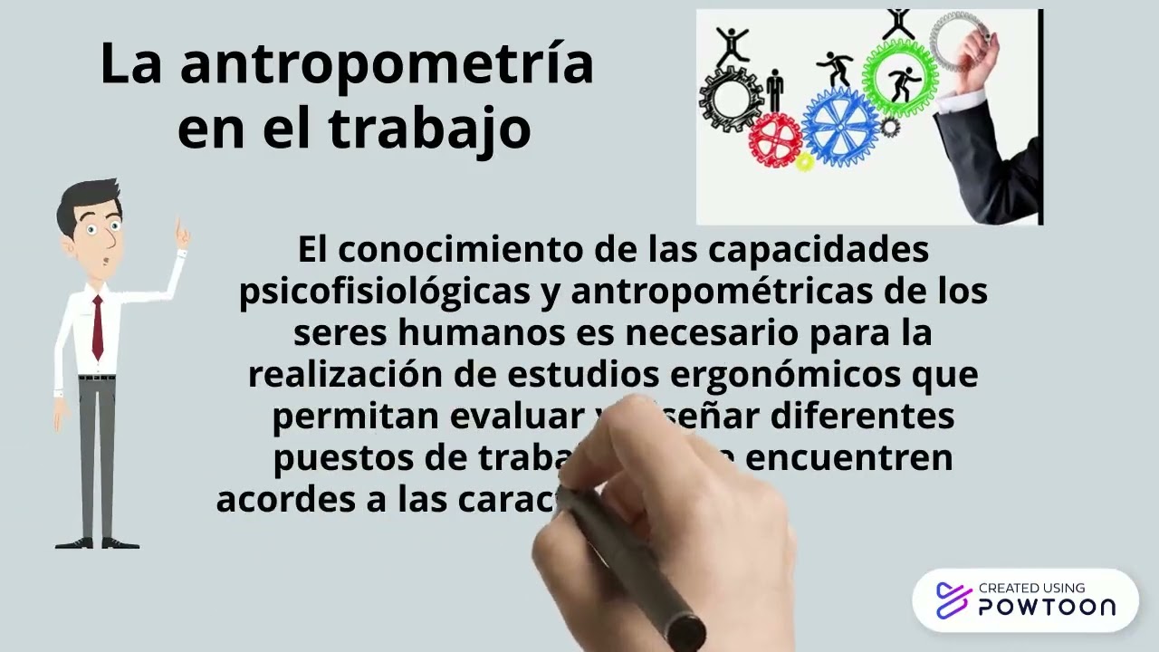la antropometría en el trabajo