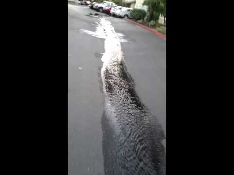 Amanda Place Apartments Water wasters 18Sep2015 7am