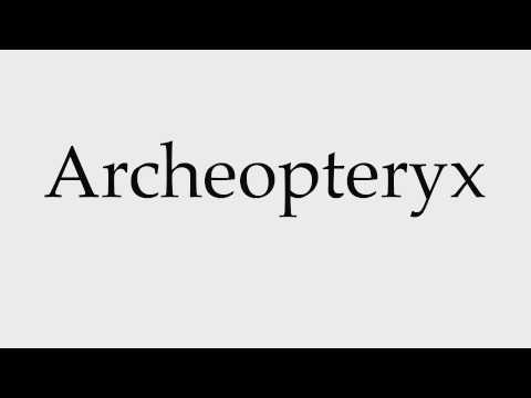 How to Pronounce Archeopteryx