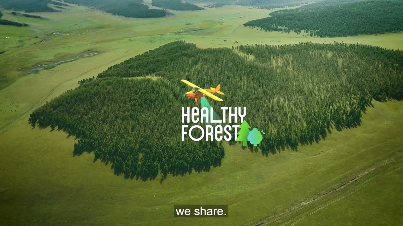RTM | Healthy Forest Project