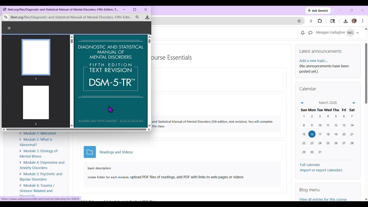 DSM PDF Navigation Tutorial