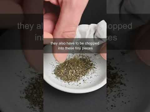 How Come we don't make tea from teabags? #shorts