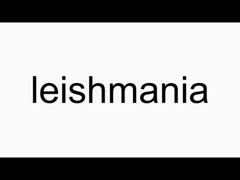 How to pronounce leishmania