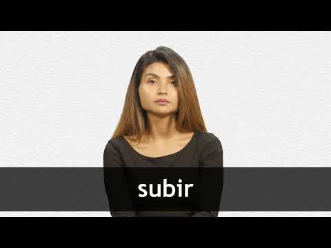 English Translation of “SUBIR” | Collins Spanish-English Dictionary