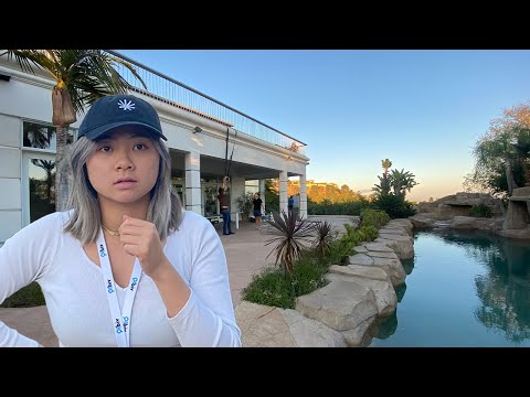 the reality of living in a LA creator house