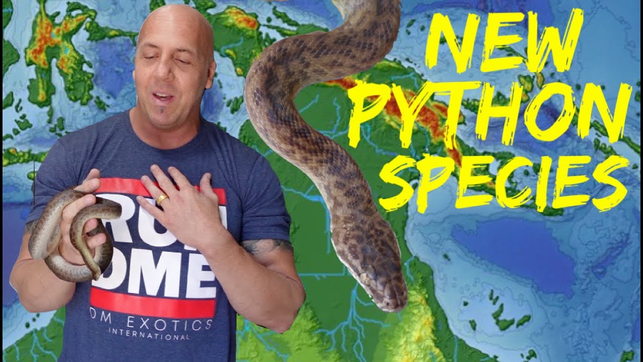 NEW PYTHON SPECIES!!!
