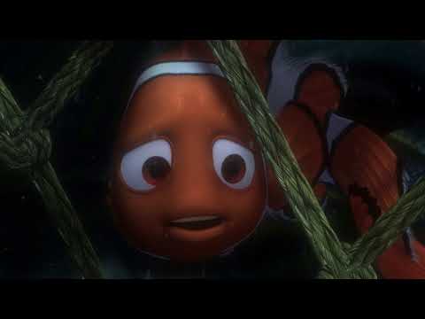 Toons Adventures of Finding Nemo - Fishing Net/Reunion - Wattpad
